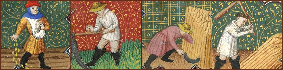 Time, Daylight, and the End-of-Year Calendar : Medieval Text Manuscripts