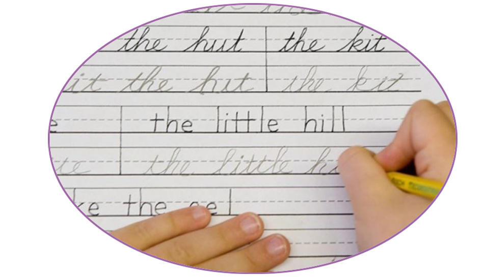 Across the Political Divide : Medieval Text Manuscripts