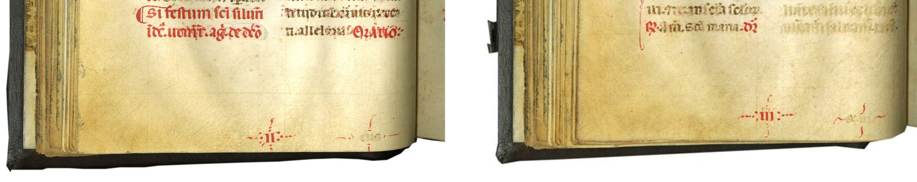 A Nervous Nelly? : Medieval Text Manuscripts