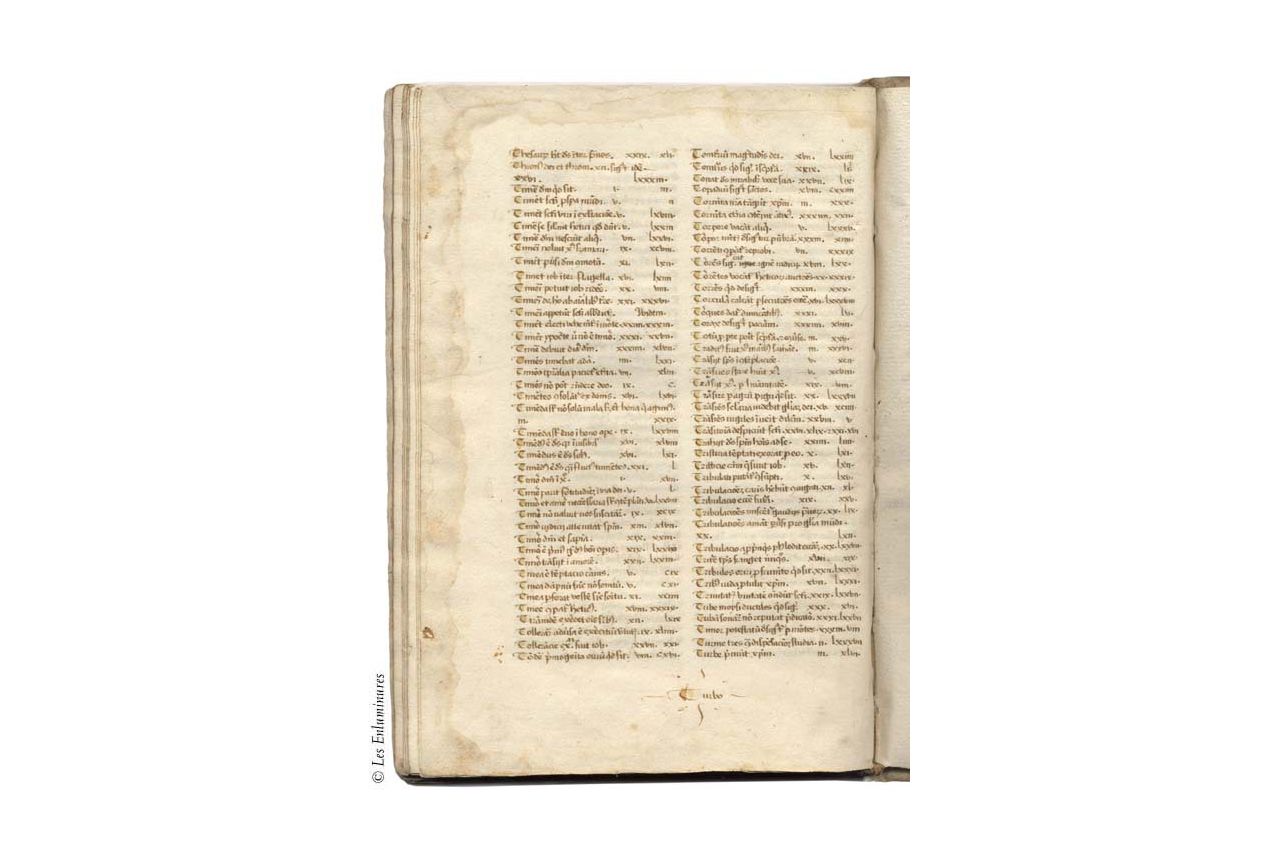 Gregorius Medieval Manuscripts Magnus : Medieval Text Manuscripts