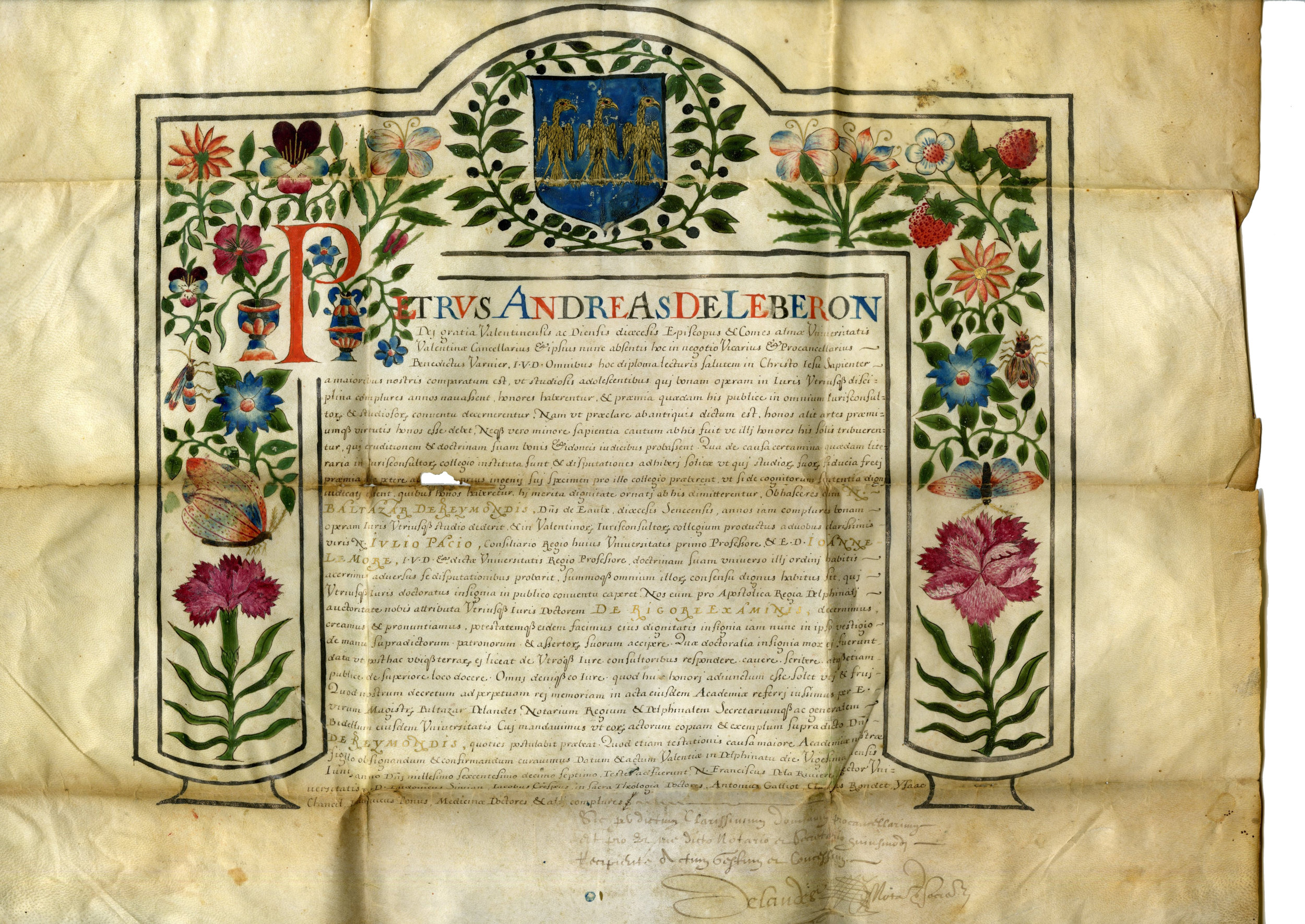 Doctoral Medieval Manuscripts Diploma : Medieval Text Manuscripts