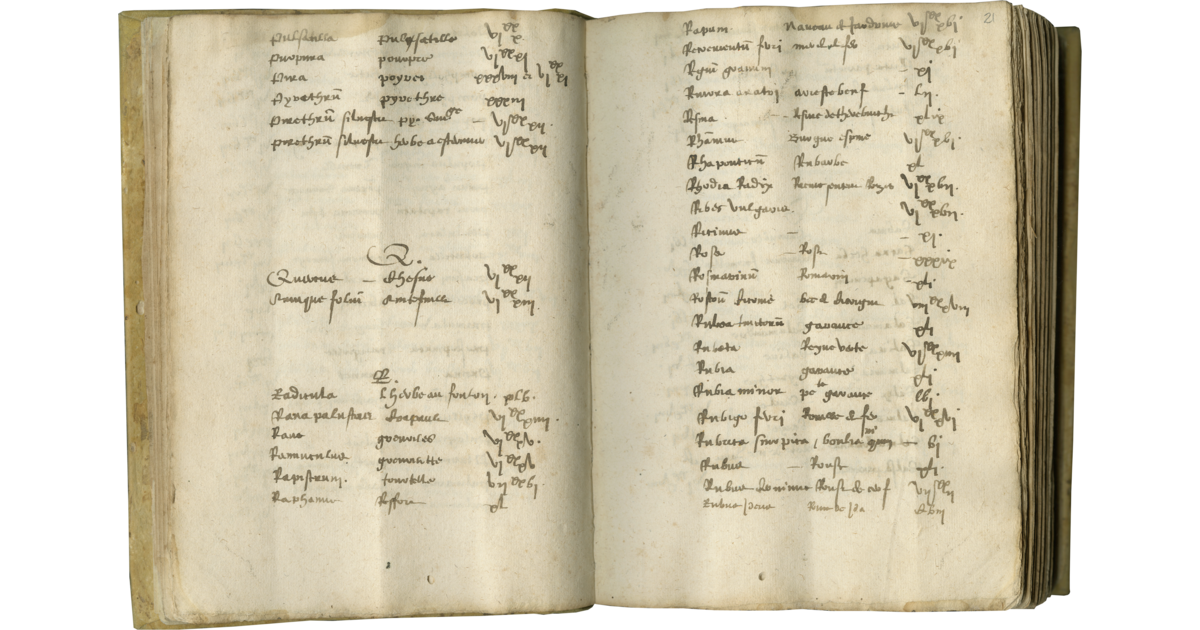 Book of Medicinal Simples : Medieval Text Manuscripts