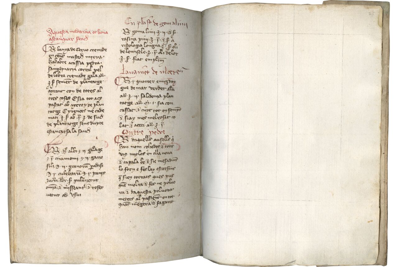 Medieval Manuscripts