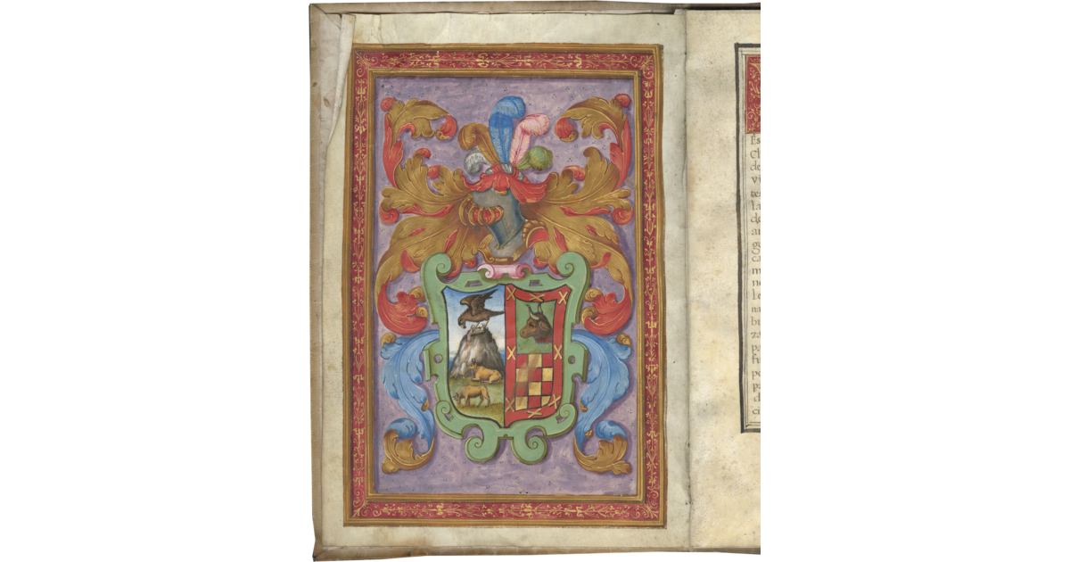 Patent of Nobility : Medieval Text Manuscripts