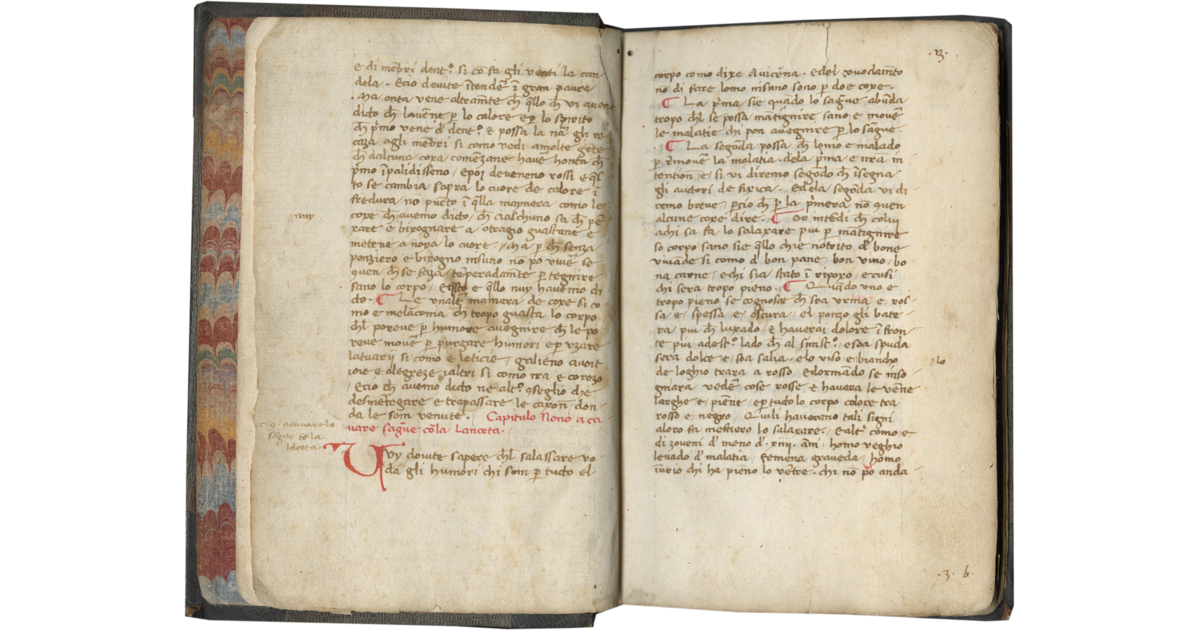 Medical treatise : Medieval Text Manuscripts